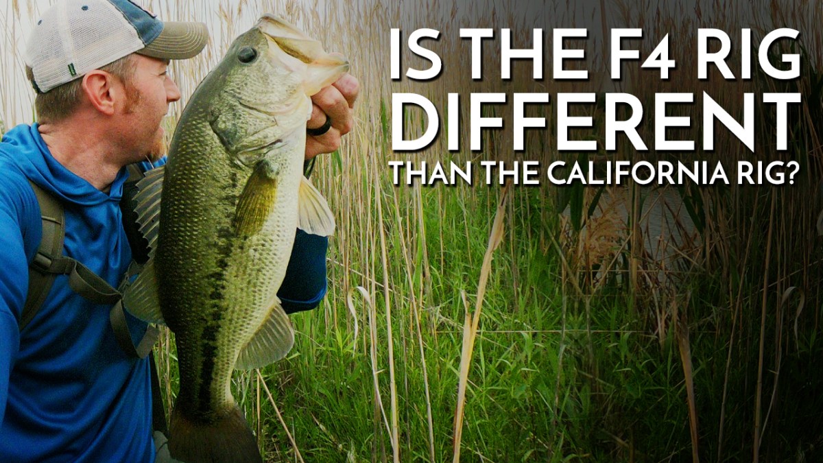 Is the F4 Rig Different than the California Rig for Bass Fishing? – The ...