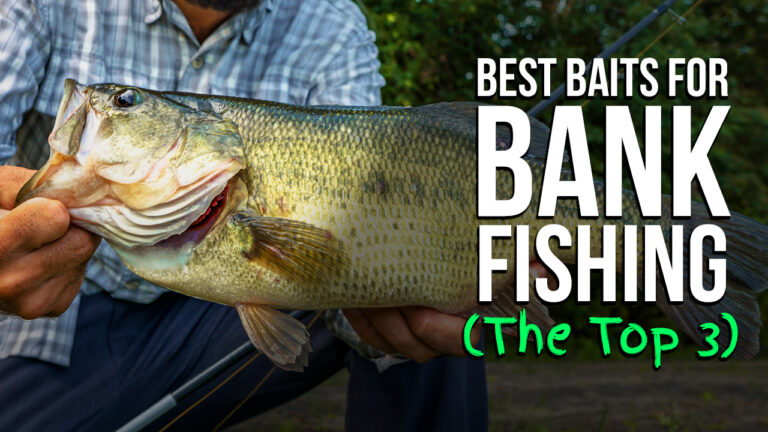 Best Baits for Midwest Bank Fishing (Top 3 List) – The Minimalist Fisherman