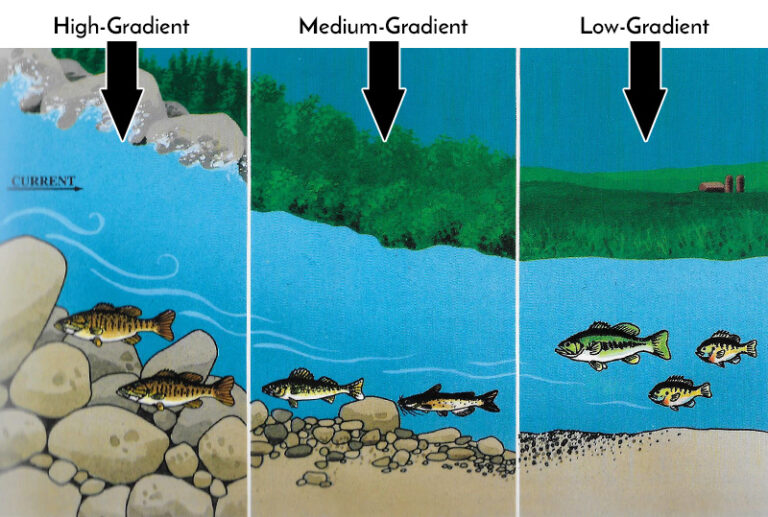 What is Current in a Body of Water? / Learning to Fish Rivers & Streams ...