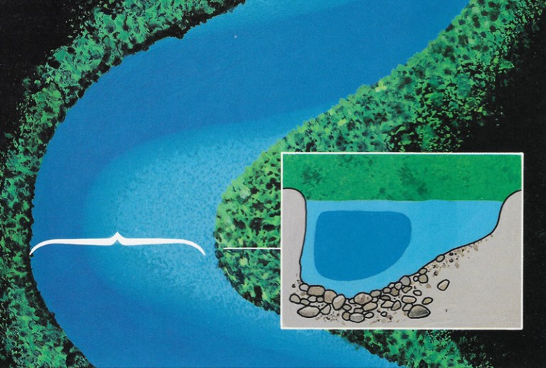 What is a Channel and Where is it Located? / Learning to Fish Rivers ...