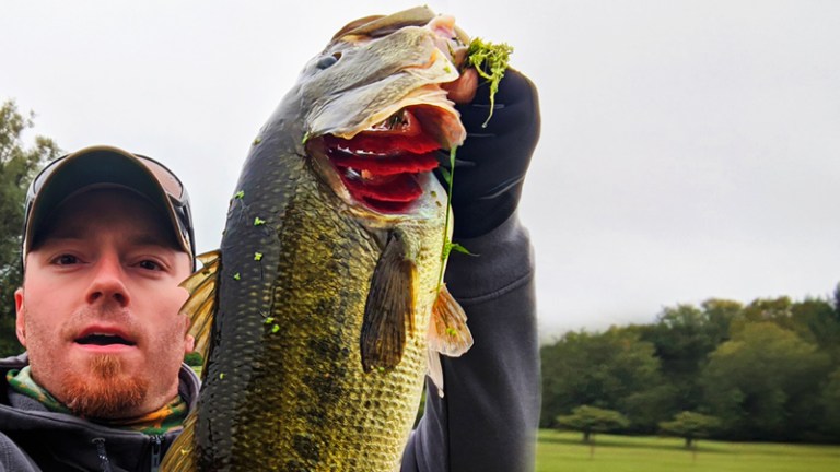 Prey Size for Largemouth Bass – The Minimalist Fisherman