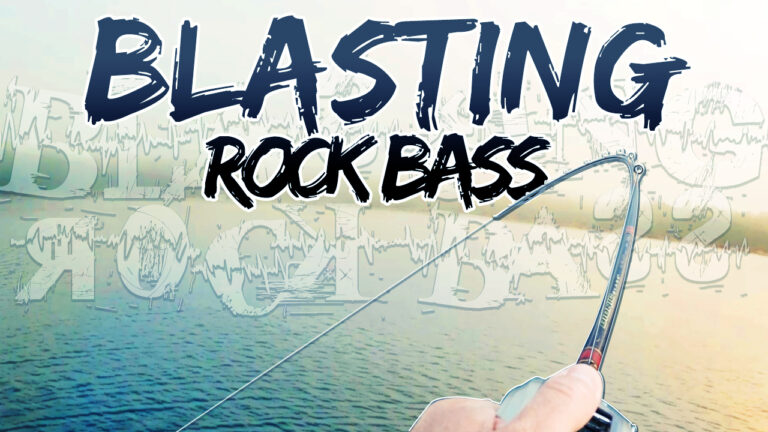 Blasting Rock Bass on a 7 Foot Heavy Fishing in Wisconsin #short – The ...