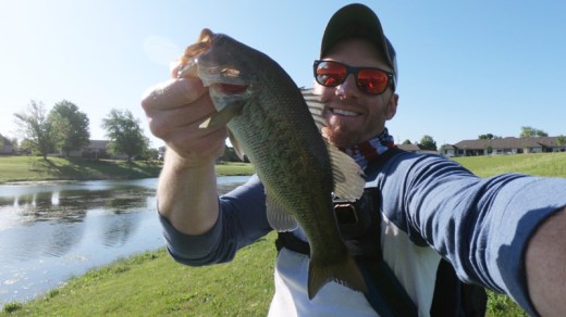 Midwest Illinois Bass Fishing Pop ‘N Drop by AJ Hauser Largemouth Bass ...