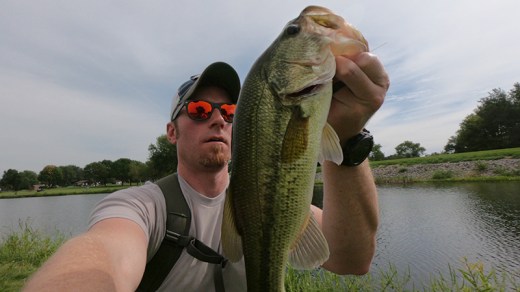 Largemouth Bass Seasonal Movement (Calendar & Patterns) – The ...