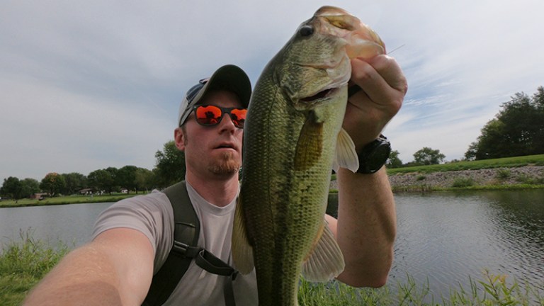Largemouth Bass Seasonal Movement (Calendar & Patterns) – The ...