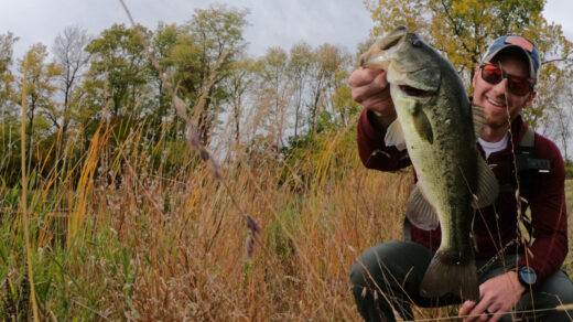 big illinois largemouth bass snakebite rig bank fishing – The ...