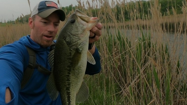 MONSTER BASS at Snapping Turtle Pond! – The Minimalist Fisherman