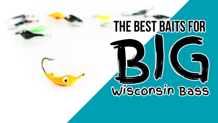 The Ultimate Guide: Best Baits for Big Wisconsin Bass (Minocqua Fishing ...