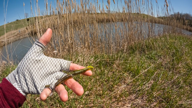 aj hauser minimalist fishing largemouth bass pond bank texas rig 2 ...