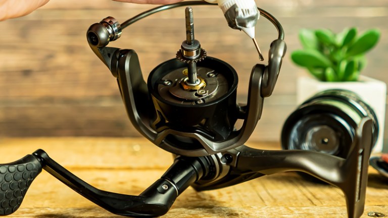 How to Lubricate a Spinning Reel (Oil & Grease Step by Step Fishing ...