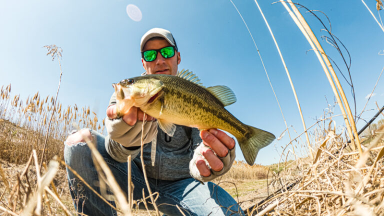 midwest-pond-fishing-strike-king-rage-craw-largemouth-bass-aj-hauser-12 ...
