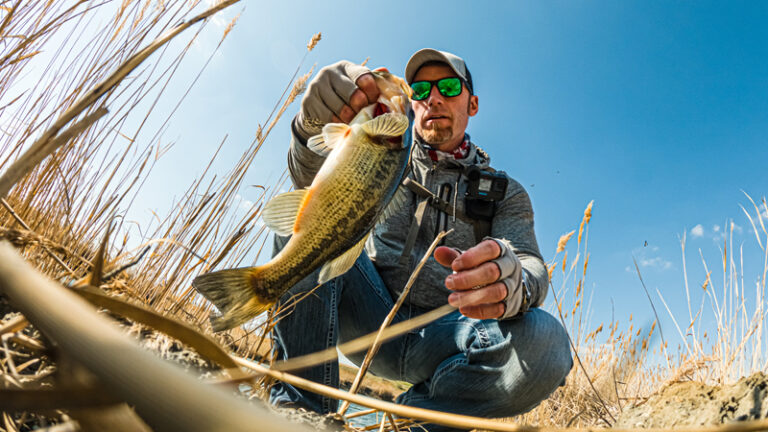 midwest-pond-fishing-strike-king-rage-craw-largemouth-bass-aj-hauser-13 ...