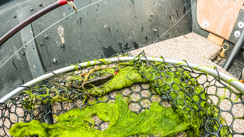 jon boat fishing midwest largemouth bowfin aj hauser minimalist crowbar ...